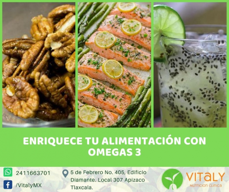 Que son los Omegas? - Vitaly - Nutrición Clínica